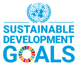 Social Development Programme – Aegis Consultancy